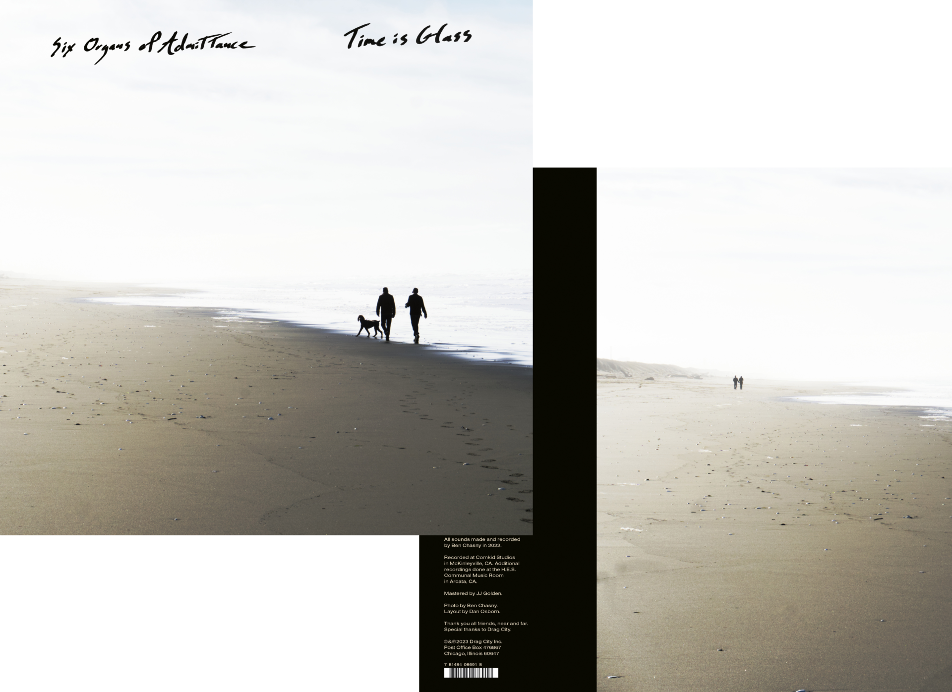 Six Organs of Admittance